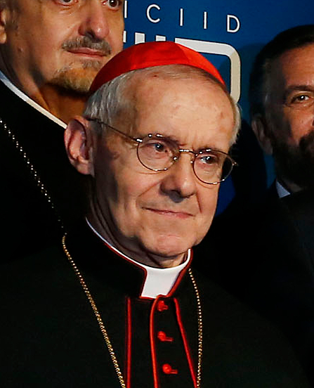 Visite du cardinal Tauran en Arabie saoudite - Le site de l'Eglise ...